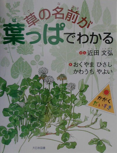 ◆◆◆全体的に使用感があります。中古ですので多少の使用感がありますが、品質には十分に注意して販売しております。迅速・丁寧な発送を心がけております。【毎日発送】 商品状態 著者名 近田文弘、おくやまひさし 出版社名 大日本図書 発売日 200...