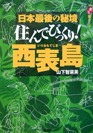 ◆◆◆小口に日焼けがあります。中古ですので多少の使用感がありますが、品質には十分に注意して販売しております。迅速・丁寧な発送を心がけております。【毎日発送】 商品状態 著者名 山下智菜美 出版社名 双葉社 発売日 2006年10月 ISBN...