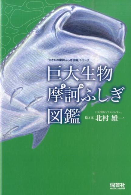 ◆◆◆おおむね良好な状態です。中古商品のため使用感等ある場合がございますが、品質には十分注意して発送いたします。 【毎日発送】 商品状態 著者名 北村雄一 出版社名 保育社 発売日 2016年03月 ISBN 9784586085514