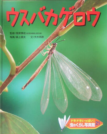 ◆◆◆おおむね良好な状態です。中古商品のため使用感等ある場合がございますが、品質には十分注意して発送いたします。 【毎日発送】 商品状態 著者名 森上信夫、大木邦彦 出版社名 ポプラ社 発売日 2005年03月 ISBN 978459108...