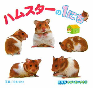 ◆◆◆おおむね良好な状態です。中古商品のため使用感等ある場合がございますが、品質には十分注意して発送いたします。 【毎日発送】 商品状態 著者名 立松光好 出版社名 ポプラ社 発売日 2006年09月 ISBN 9784591094044