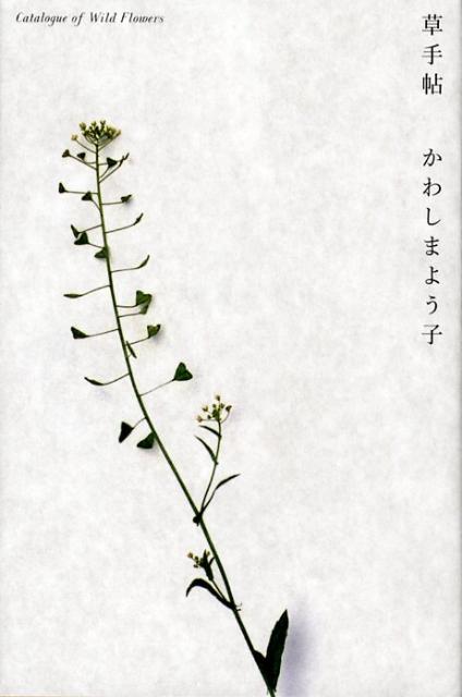 ◆◆◆全体的に日焼け、汚れ、使用感、傷みがあります。中古ですので多少の使用感がありますが、品質には十分に注意して販売しております。迅速・丁寧な発送を心がけております。【毎日発送】 商品状態 著者名 かわしまよう子 出版社名 ポプラ社 発売日...