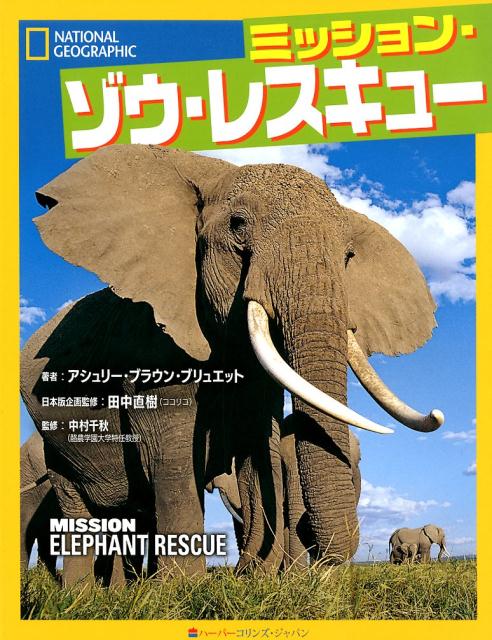 ◆◆◆おおむね良好な状態です。中古商品のため使用感等ある場合がございますが、品質には十分注意して発送いたします。 【毎日発送】 商品状態 著者名 アシュリー・ブラウン・ブリュエット、田中直樹 出版社名 ハ−パ−コリンズ・ジャパン 発売日 2...