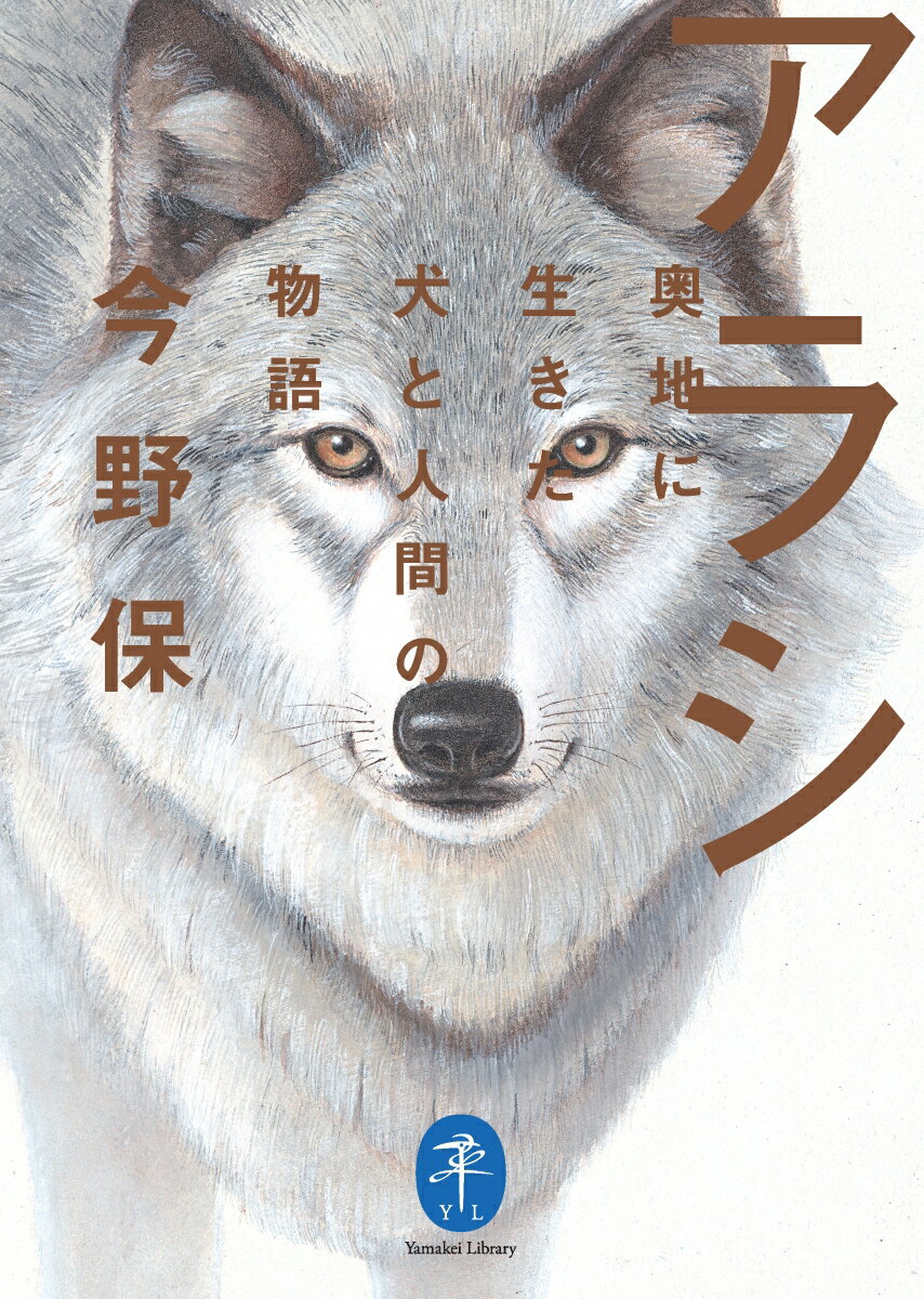 ◆◆◆非常にきれいな状態です。中古商品のため使用感等ある場合がございますが、品質には十分注意して発送いたします。 【毎日発送】 商品状態 著者名 今野保 出版社名 山と渓谷社 発売日 2024年07月05日 ISBN 9784635049993