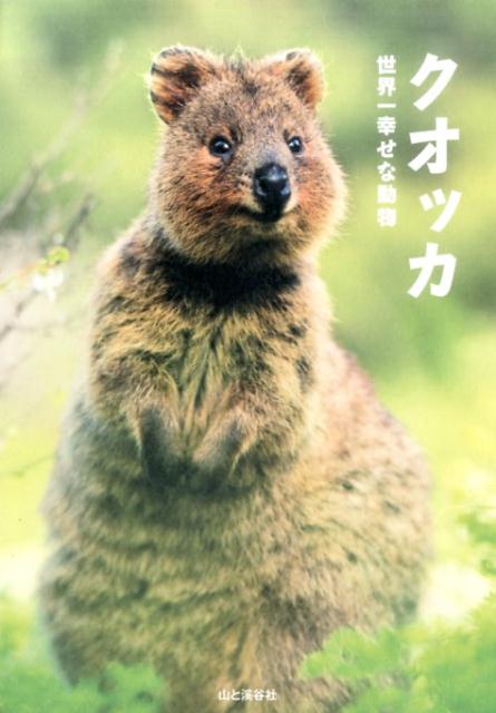 ◆◆◆カバーに汚れがあります。中古ですので多少の使用感がありますが、品質には十分に注意して販売しております。迅速・丁寧な発送を心がけております。【毎日発送】 商品状態 著者名 山と渓谷社 出版社名 山と渓谷社 発売日 2016年10月 IS...