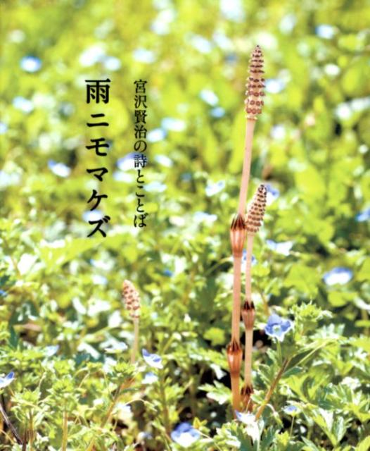◆◆◆非常にきれいな状態です。中古商品のため使用感等ある場合がございますが、品質には十分注意して発送いたします。 【毎日発送】 商品状態 著者名 宮沢賢治、富田文雄 出版社名 パイインタ−ナショナル 発売日 2012年07月 ISBN 97...