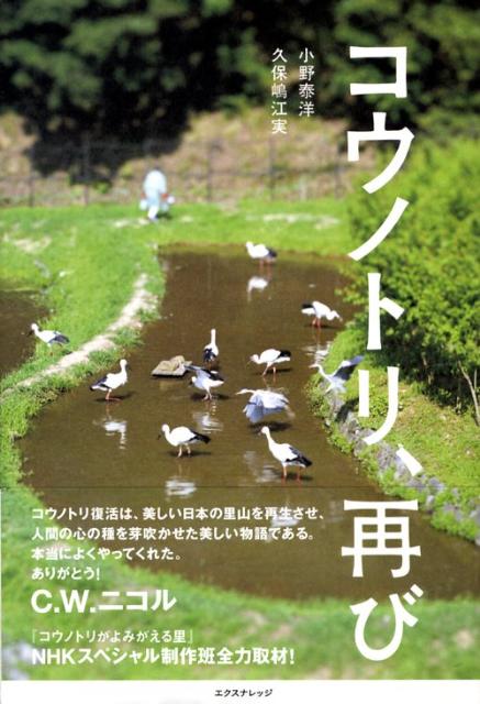 ◆◆◆非常にきれいな状態です。中古商品のため使用感等ある場合がございますが、品質には十分注意して発送いたします。 【毎日発送】 商品状態 著者名 小野泰洋、久保嶋江実 出版社名 エクスナレッジ 発売日 2008年08月 ISBN 97847...