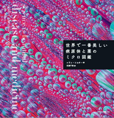◆◆◆おおむね良好な状態です。中古商品のため使用感等ある場合がございますが、品質には十分注意して発送いたします。 【毎日発送】 商品状態 著者名 コリン・ソルター、石黒千秋 出版社名 エクスナレッジ 発売日 2018年12月31日 ISBN...