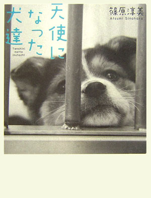 ◆◆◆おおむね良好な状態です。中古商品のため使用感等ある場合がございますが、品質には十分注意して発送いたします。 【毎日発送】 商品状態 著者名 篠原淳美 出版社名 オ−クラ出版 発売日 2006年06月 ISBN 9784775507537