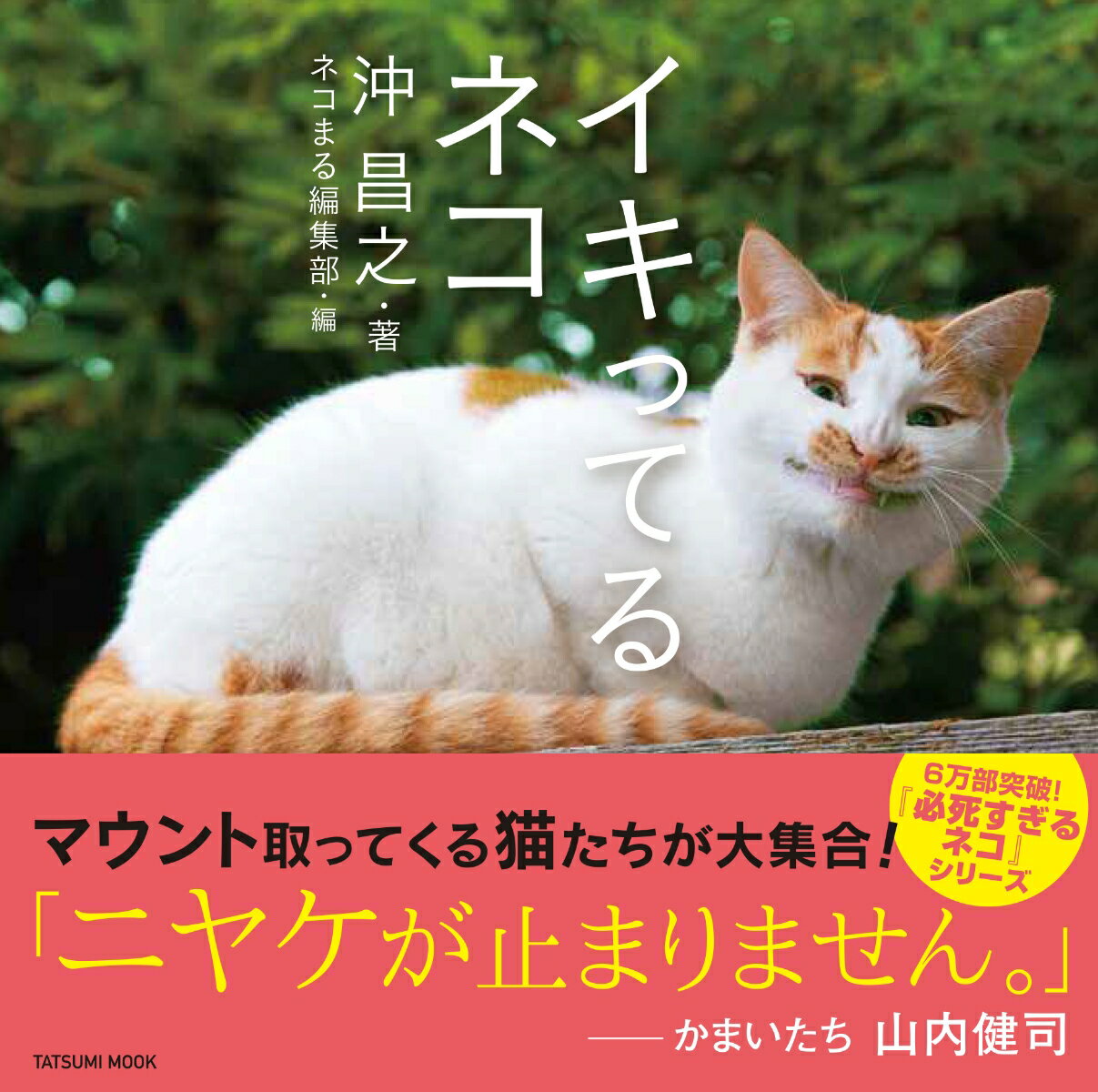 ◆◆◆非常にきれいな状態です。中古商品のため使用感等ある場合がございますが、品質には十分注意して発送いたします。 【毎日発送】 商品状態 著者名 沖昌之、ネコまる編集部 出版社名 辰巳出版 発売日 2021年8月2日 ISBN 978477...