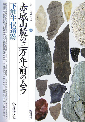 ◆◆◆非常にきれいな状態です。中古商品のため使用感等ある場合がございますが、品質には十分注意して発送いたします。 【毎日発送】 商品状態 著者名 小菅将夫 出版社名 新泉社 発売日 2006年09月 ISBN 9784787706409