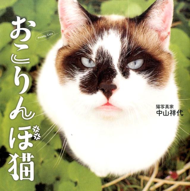 ◆◆◆おおむね良好な状態です。中古商品のため使用感等ある場合がございますが、品質には十分注意して発送いたします。 【毎日発送】 商品状態 著者名 中山祥代 出版社名 秀和システム 発売日 2016年08月 ISBN 9784798047126