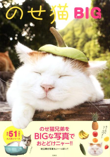 ◆◆◆非常にきれいな状態です。中古商品のため使用感等ある場合がございますが、品質には十分注意して発送いたします。 【毎日発送】 商品状態 著者名 SHIRONEKO 出版社名 宝島社 発売日 2017年9月26日 ISBN 97848002...