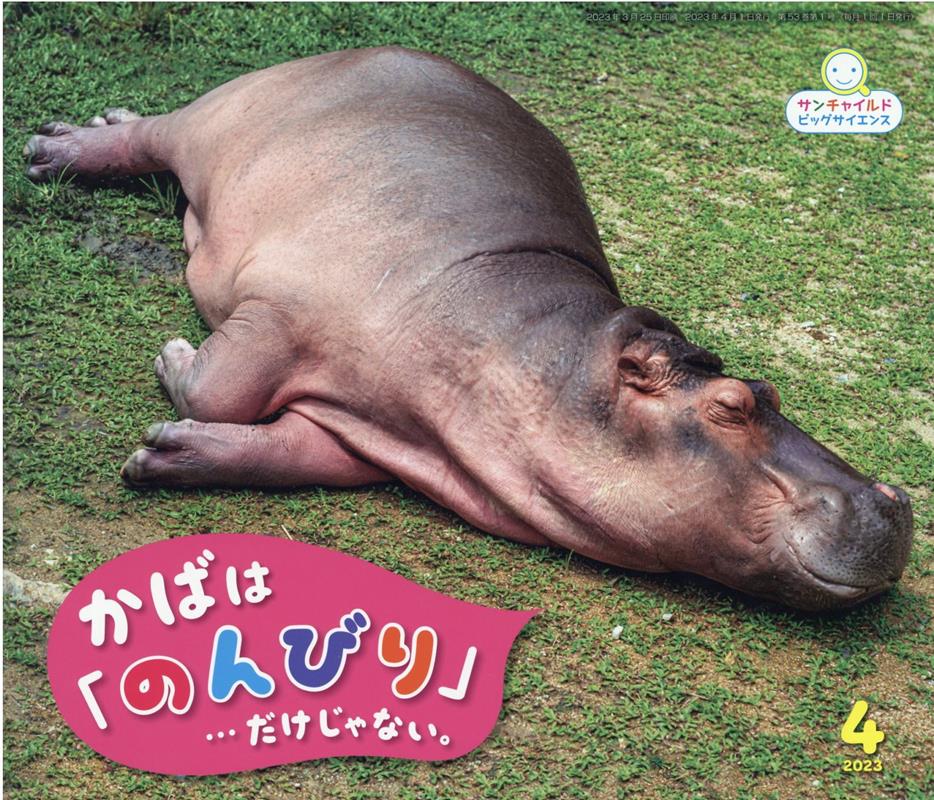 ◆◆◆おおむね良好な状態です。中古商品のため使用感等ある場合がございますが、品質には十分注意して発送いたします。 【毎日発送】 商品状態 著者名 出版社名 チャイルド本社 発売日 2023年04月01日 ISBN 9784805455630