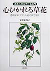 ◆◆◆おおむね良好な状態です。中古商品のため使用感等ある場合がございますが、品質には十分注意して発送いたします。 【毎日発送】 商品状態 著者名 安井亜代子 出版社名 日貿出版社 発売日 1999年11月25日 ISBN 978481703...