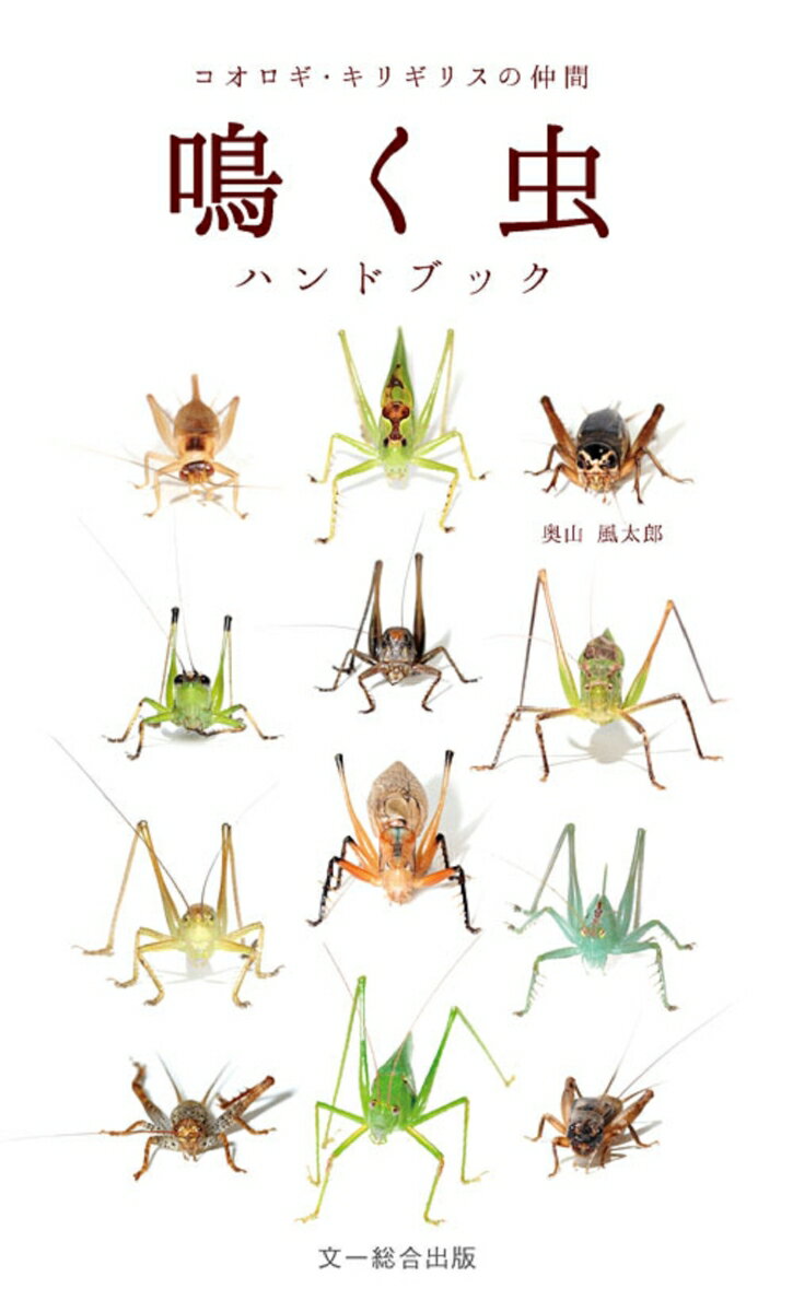 ◆◆◆非常にきれいな状態です。中古商品のため使用感等ある場合がございますが、品質には十分注意して発送いたします。 【毎日発送】 商品状態 著者名 奥山風太郎 出版社名 文一総合出版 発売日 2016年08月 ISBN 9784829981405