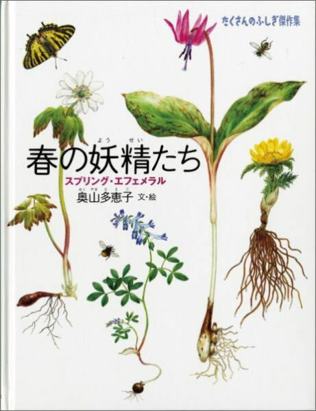 ◆◆◆おおむね良好な状態です。中古商品のため使用感等ある場合がございますが、品質には十分注意して発送いたします。 【毎日発送】 商品状態 著者名 おくやまたえこ 出版社名 福音館書店 発売日 2010年02月 ISBN 9784834024883