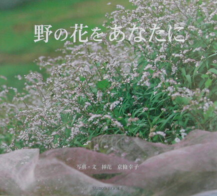 ◆◆◆非常にきれいな状態です。中古商品のため使用感等ある場合がございますが、品質には十分注意して発送いたします。 【毎日発送】 商品状態 著者名 京条幸子 出版社名 光村推古書院 発売日 2002年09月30日 ISBN 978483810...