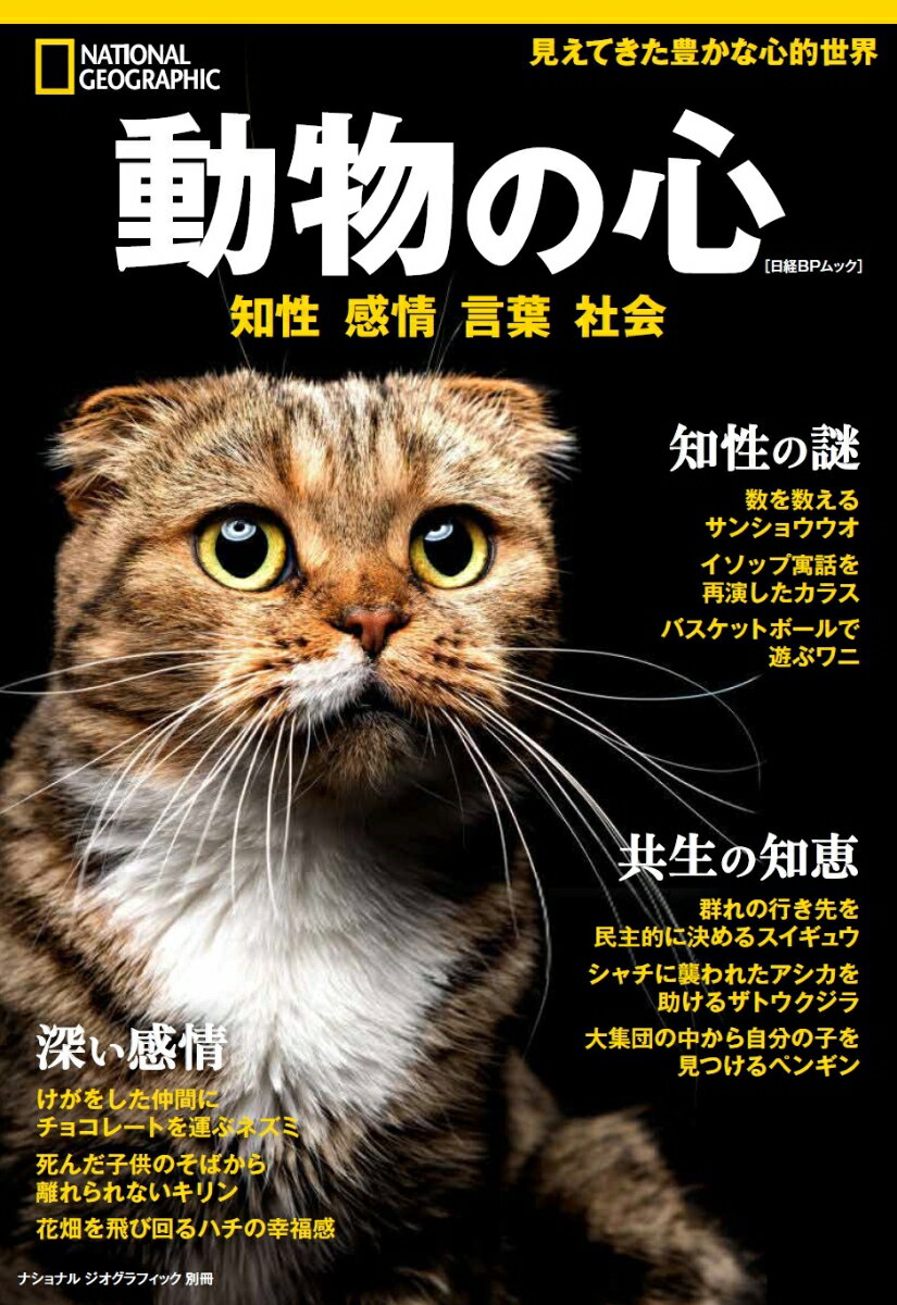 ◆◆◆おおむね良好な状態です。中古商品のため使用感等ある場合がございますが、品質には十分注意して発送いたします。 【毎日発送】 商品状態 著者名 編集:ナショナル ジオグラフィック 出版社名 日経ナショナルジオグラフィック社 発売日 201...