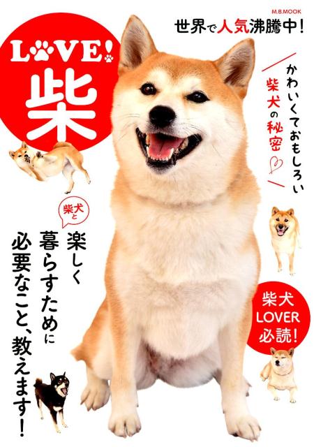 ◆◆◆おおむね良好な状態です。中古商品のため使用感等ある場合がございますが、品質には十分注意して発送いたします。 【毎日発送】 商品状態 著者名 河合オフィス 出版社名 マガジンボックス 発売日 2019年6月26日 ISBN 978486...