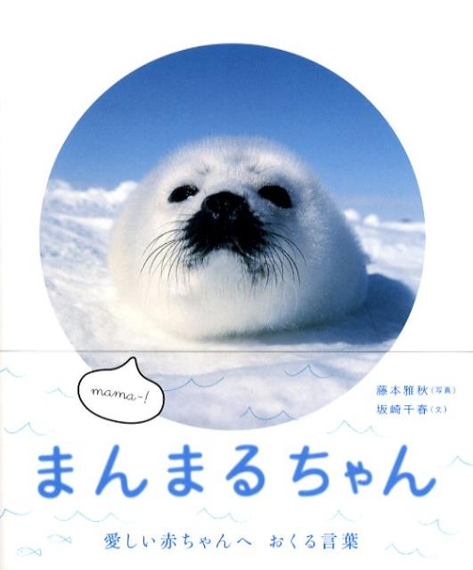 ◆◆◆非常にきれいな状態です。中古商品のため使用感等ある場合がございますが、品質には十分注意して発送いたします。 【毎日発送】 商品状態 著者名 藤本雅秋、坂崎千春 出版社名 WAVE出版 発売日 2008年11月 ISBN 9784872...