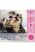 ◆◆◆おおむね良好な状態です。中古商品のため使用感等ある場合がございますが、品質には十分注意して発送いたします。 【毎日発送】 商品状態 著者名 板東寛司、青嶋ひろの 出版社名 あおば出版 発売日 2006年12月 ISBN 9784873...