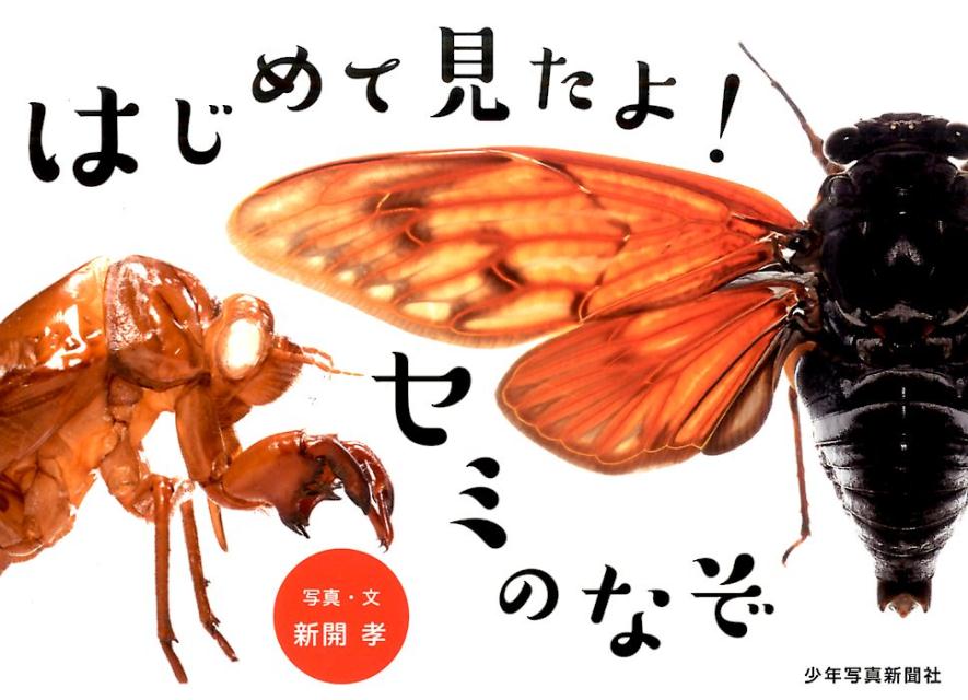 ◆◆◆歪みがあります。カバーに日焼け、汚れ、使用感、破れがあります。中古ですので多少の使用感がありますが、品質には十分に注意して販売しております。迅速・丁寧な発送を心がけております。【毎日発送】 商品状態 著者名 新開孝 出版社名 少年写真...