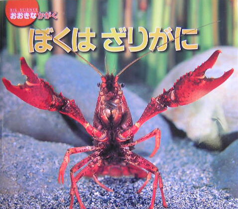 ◆◆◆非常にきれいな状態です。中古商品のため使用感等ある場合がございますが、品質には十分注意して発送いたします。 【毎日発送】 商品状態 著者名 飯村茂樹、片野隆司 出版社名 ひさかたチャイルド 発売日 2005年07月 ISBN 9784...