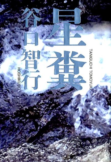 ◆◆◆おおむね良好な状態です。中古商品のため使用感等ある場合がございますが、品質には十分注意して発送いたします。 【毎日発送】 商品状態 著者名 谷口智行 出版社名 邑書林 発売日 2019年12月10日 ISBN 9784897098975