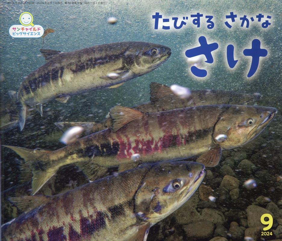 ◆◆◆書き込みがあります。中古ですので多少の使用感がありますが、品質には十分に注意して販売しております。迅速・丁寧な発送を心がけております。【毎日発送】 商品状態 著者名 出版社名 チャイルド本社 発売日 2024年09月01日 ISBN ...