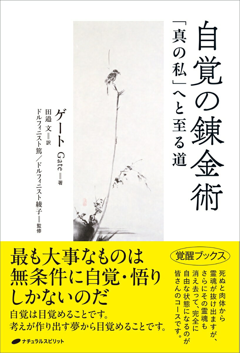 ◆◆◆非常にきれいな状態です。中古商品のため使用感等ある場合がございますが、品質には十分注意して発送いたします。 【毎日発送】 商品状態 著者名 ゲート、田邉文 出版社名 ナチュラルスピリット 発売日 2025年01月23日 ISBN 97...