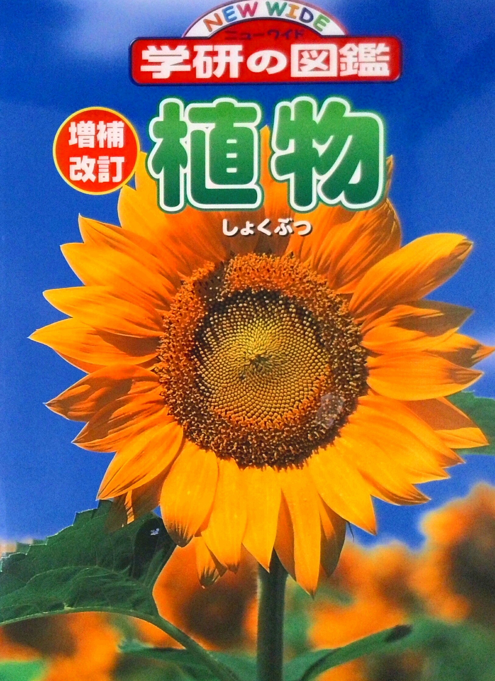 ◆◆◆おおむね良好な状態です。中古商品のため使用感等ある場合がございますが、品質には十分注意して発送いたします。 【毎日発送】 商品状態 著者名 監修:大場達之 出版社名 Gakken 発売日 2006年01月 ISBN 978405202...