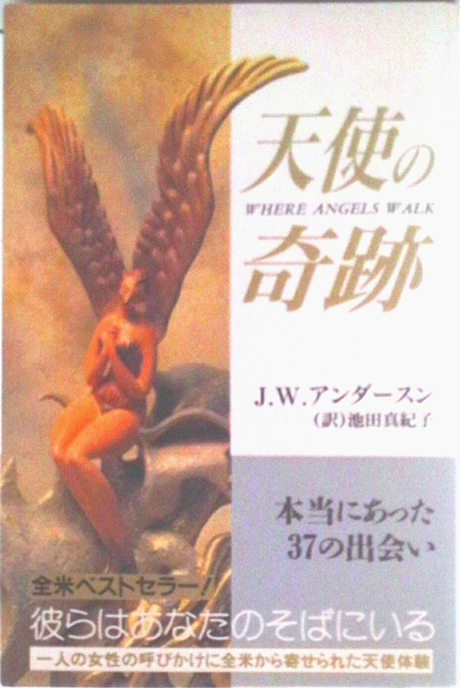 ◆◆◆全体的に汚れ、日焼けがあります。中古ですので多少の使用感がありますが、品質には十分に注意して販売しております。迅速・丁寧な発送を心がけております。【毎日発送】 商品状態 著者名 ジョアン・ウェスタ−・アンダ−スン、池田真紀子 出版社名...