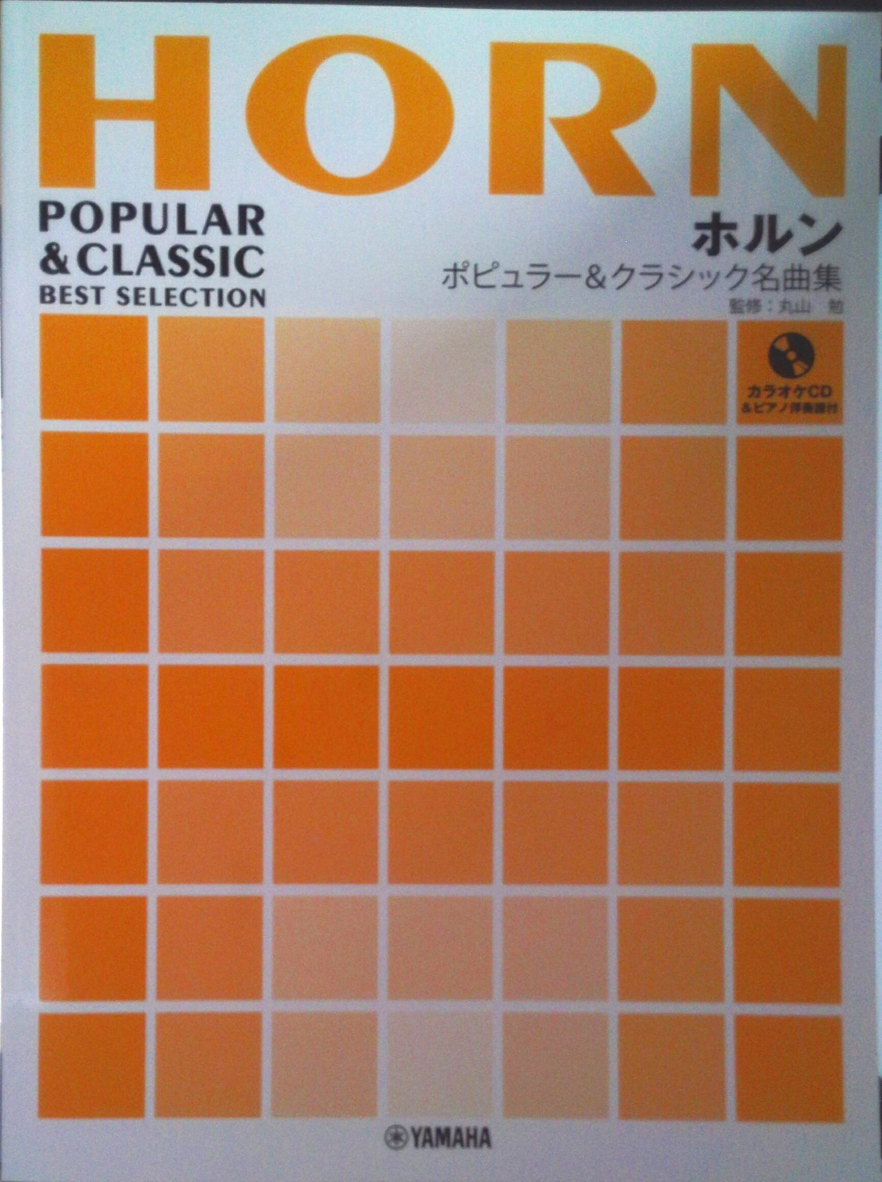 ◆◆◆おおむね良好な状態です。中古商品のため使用感等ある場合がございますが、品質には十分注意して発送いたします。 【毎日発送】 商品状態 著者名 丸山勉 出版社名 ヤマハミュ−ジックエンタテインメントホ− 発売日 2011年04月15日 I...