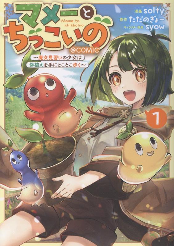◆◆◆非常にきれいな状態です。中古商品のため使用感等ある場合がございますが、品質には十分注意して発送いたします。 【毎日発送】 商品状態 著者名 solty 出版社名 TOブックス 発売日 2025年08月01日 ISBN 97848679...