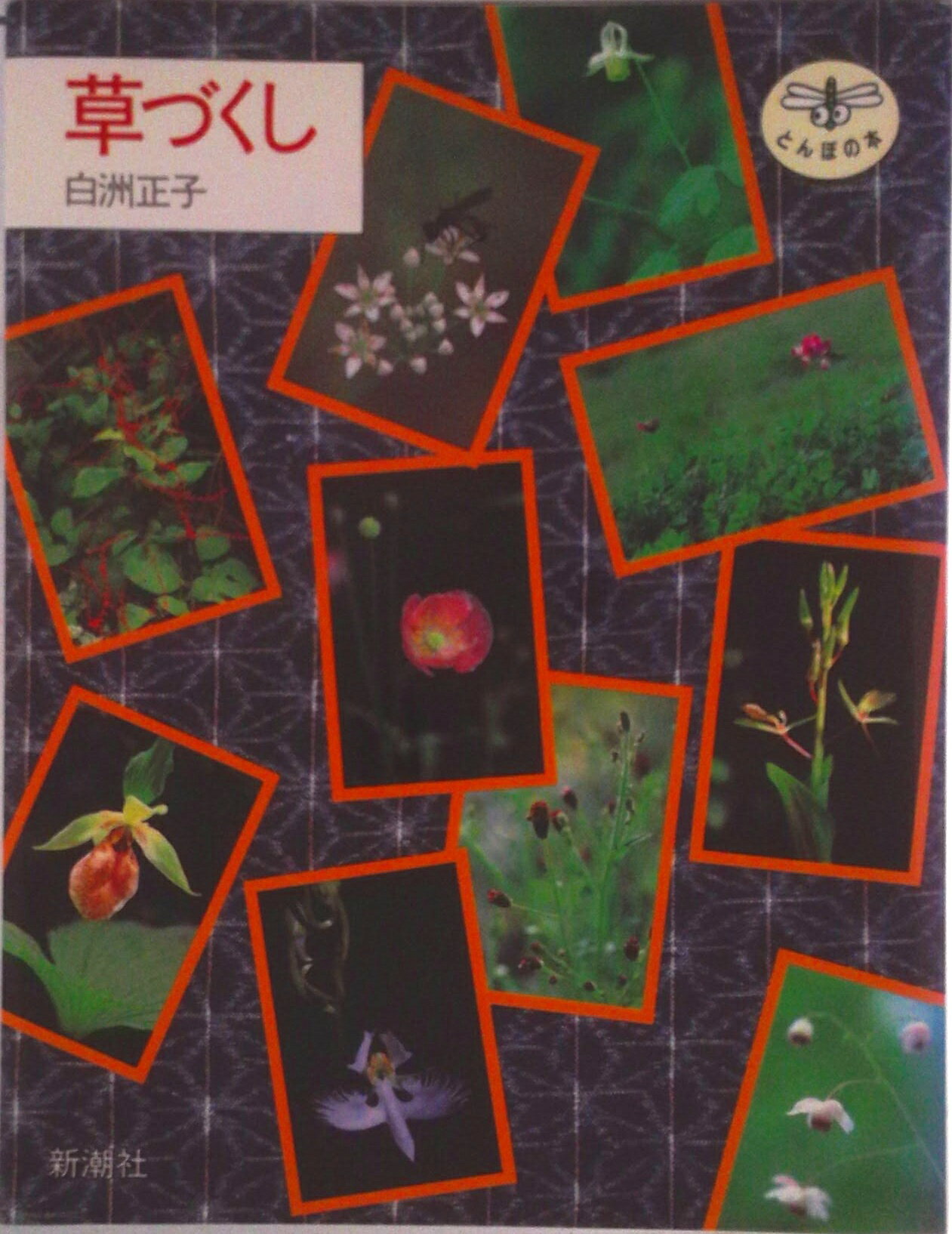 ◆◆◆おおむね良好な状態です。中古商品のため使用感等ある場合がございますが、品質には十分注意して発送いたします。 【毎日発送】 商品状態 著者名 白洲正子、吉越立雄 出版社名 新潮社 発売日 1985年01月 ISBN 9784106019197