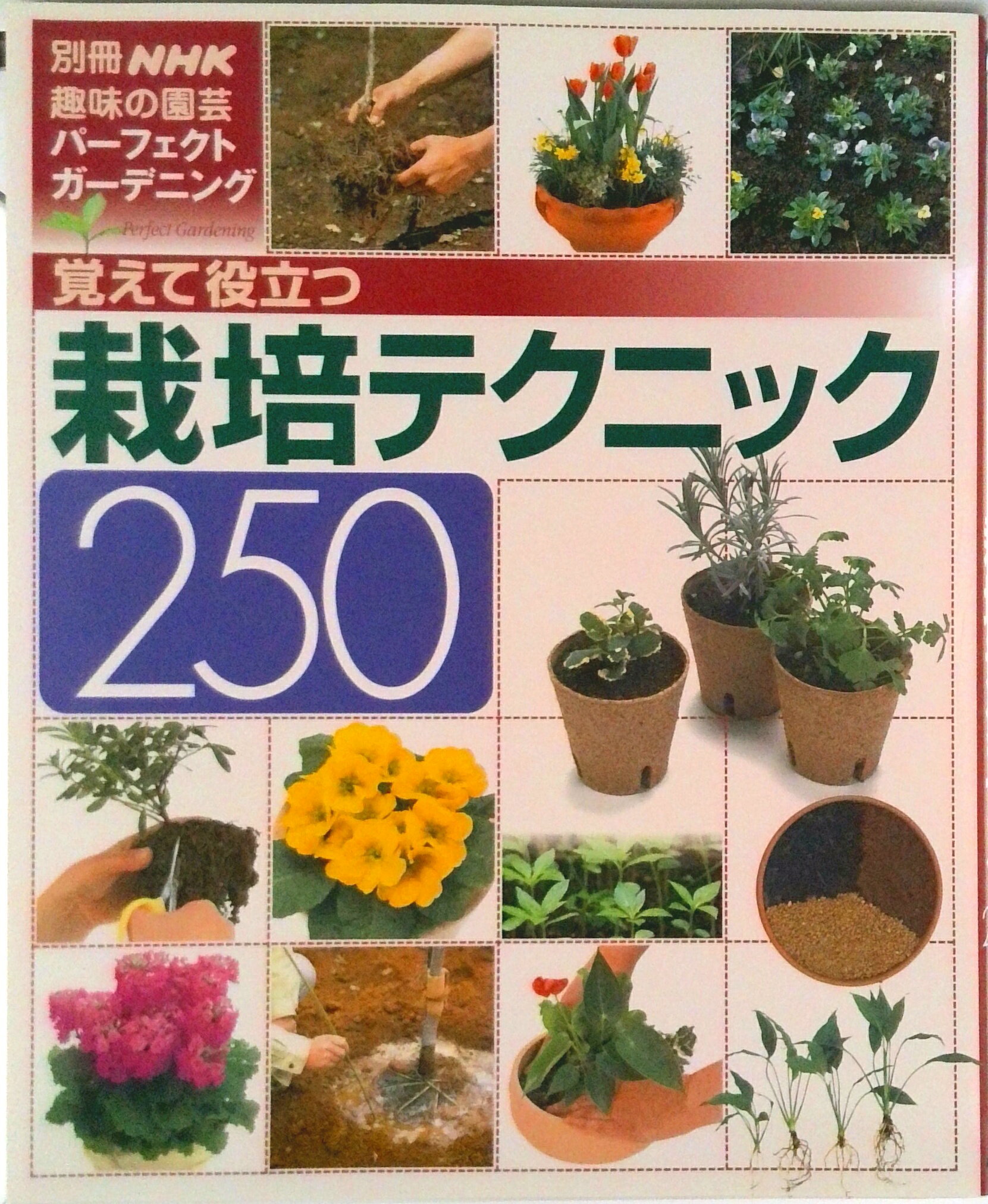 ◆◆◆おおむね良好な状態です。中古商品のため使用感等ある場合がございますが、品質には十分注意して発送いたします。 【毎日発送】 商品状態 著者名 出版社名 NHK出版 発売日 1999年04月 ISBN 9784146457508