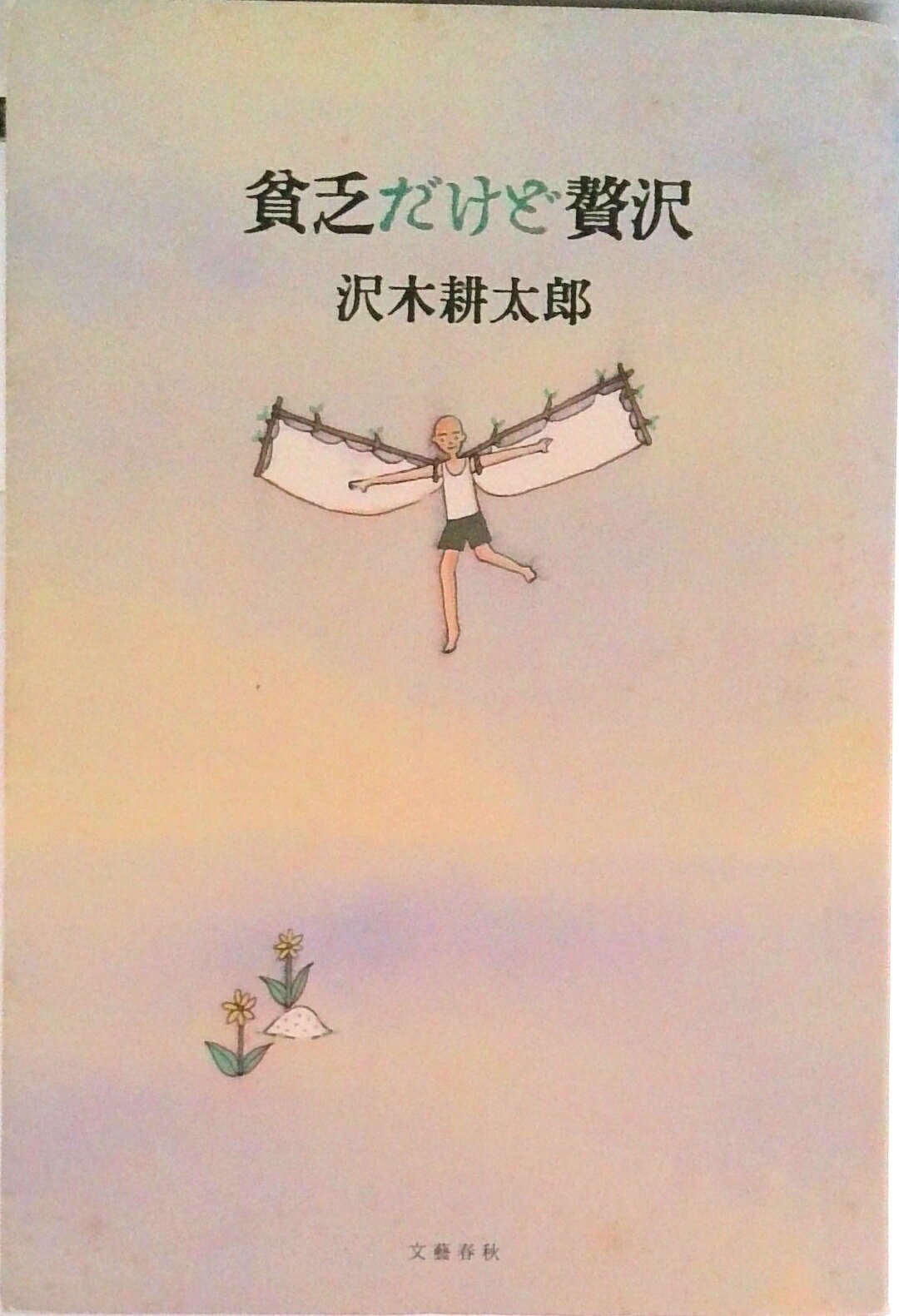 ◆◆◆全体的に汚れ、日焼けがあります。中古ですので多少の使用感がありますが、品質には十分に注意して販売しております。迅速・丁寧な発送を心がけております。【毎日発送】 商品状態 著者名 沢木耕太郎 出版社名 文藝春秋 発売日 1999年02月...
