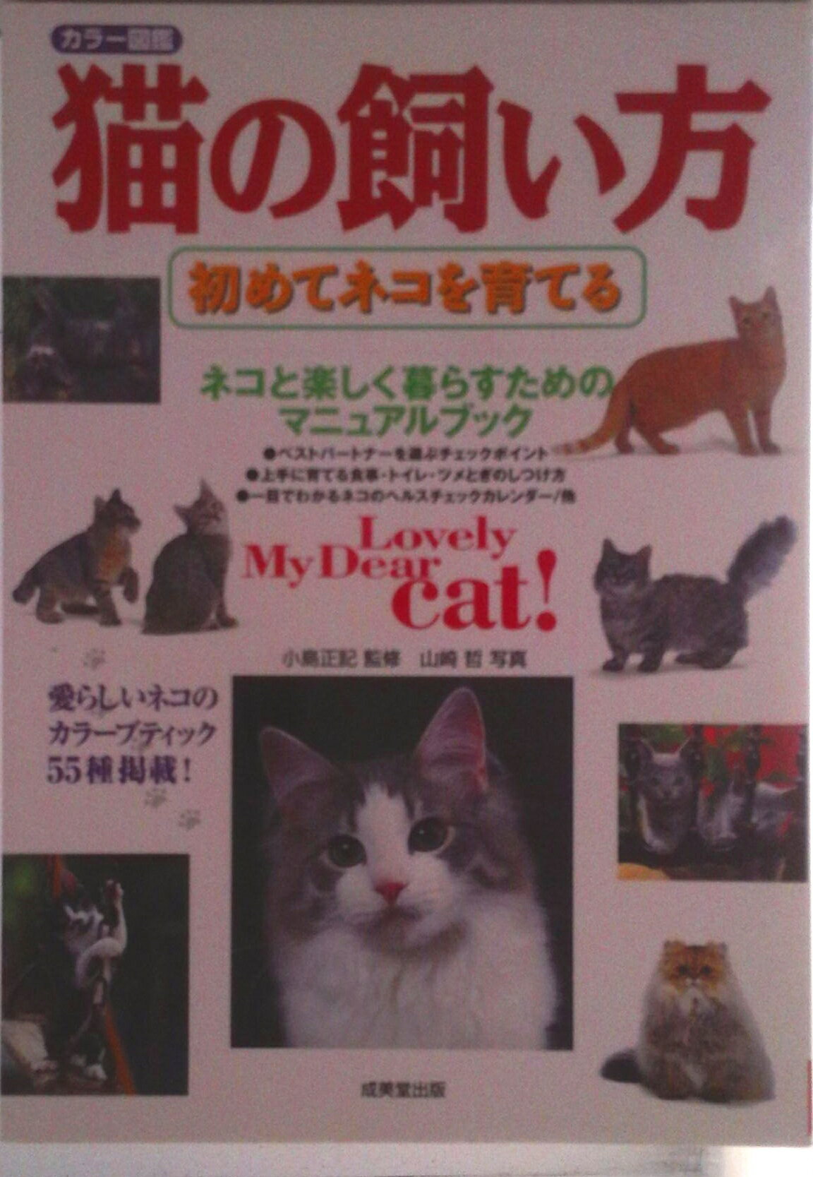 ◆◆◆おおむね良好な状態です。中古商品のため使用感等ある場合がございますが、品質には十分注意して発送いたします。 【毎日発送】 商品状態 著者名 山崎哲（写真家）、小島正記 出版社名 成美堂出版 発売日 2000年01月 ISBN 9784...