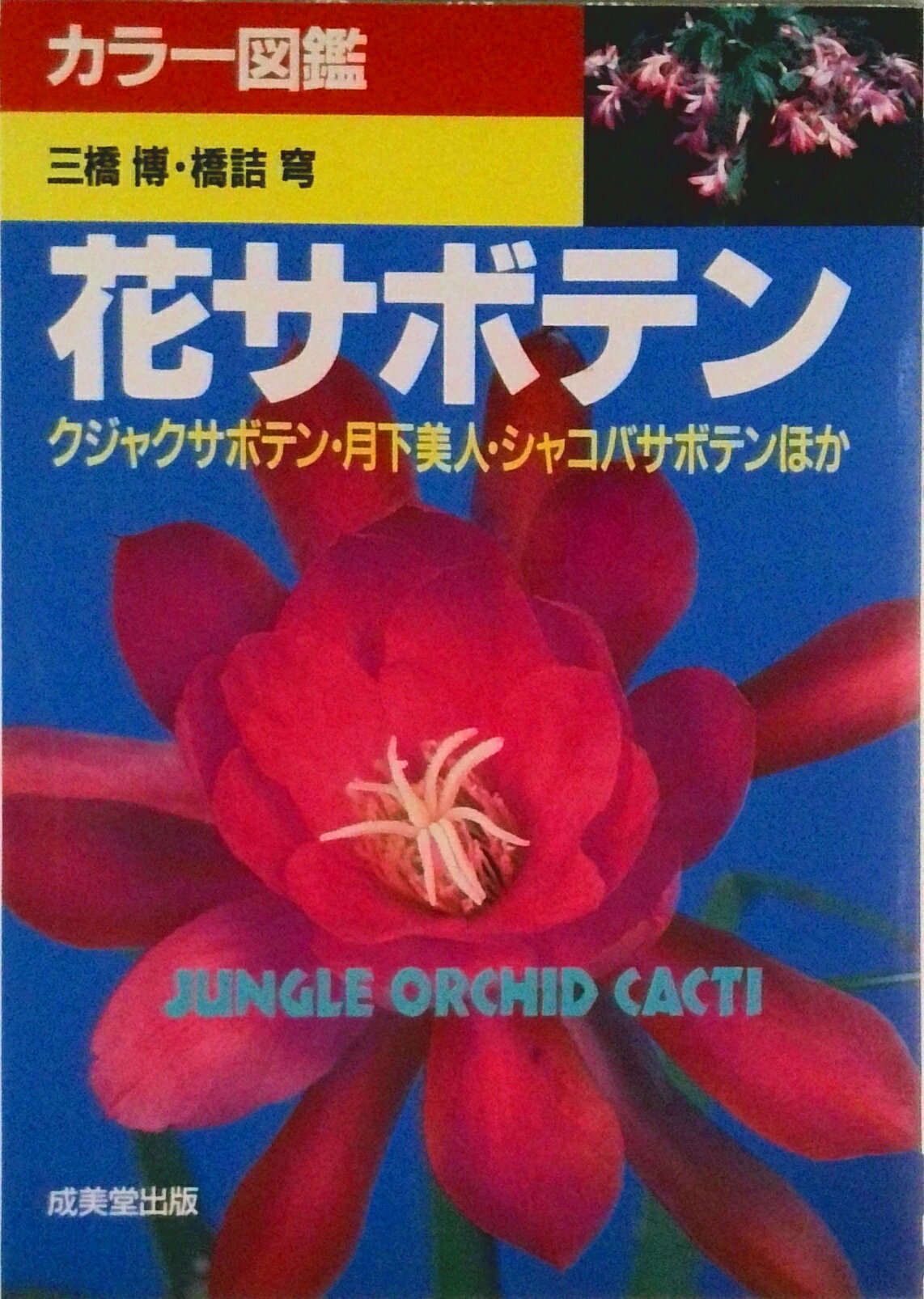 ◆◆◆カバーに汚れがあります。全体的に汚れがあります。のど割れがあります。中古ですので多少の使用感がありますが、品質には十分に注意して販売しております。迅速・丁寧な発送を心がけております。【毎日発送】 商品状態 著者名 三橋博、橋詰穹 出版...