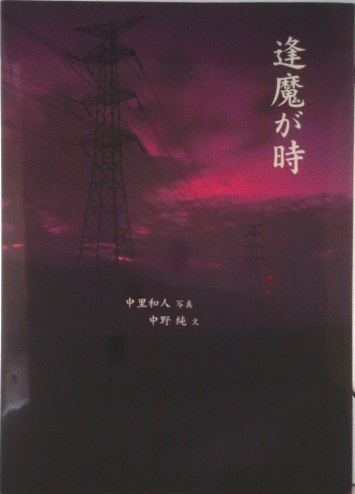 ◆◆◆歪みがあります。全体的に日焼け、汚れ、使用感があります。中古ですので多少の使用感がありますが、品質には十分に注意して販売しております。迅速・丁寧な発送を心がけております。【毎日発送】 商品状態 著者名 中里和人、中野純 出版社名 ピエ...