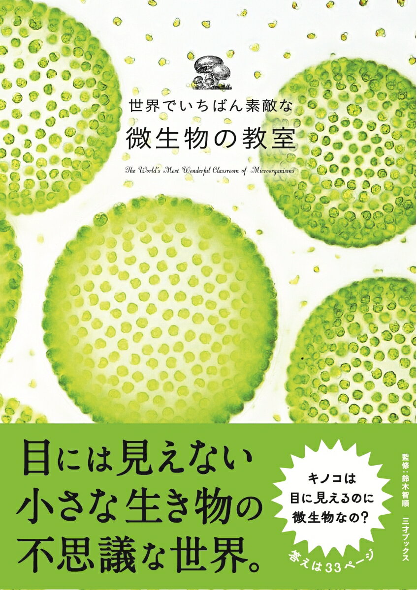 ◆◆◆非常にきれいな状態です。中古商品のため使用感等ある場合がございますが、品質には十分注意して発送いたします。 【毎日発送】 商品状態 著者名 鈴木智順 出版社名 三才ブックス 発売日 2025年04月01日 ISBN 978486673...