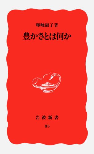 ◆◆◆全体的に使用感があります。小口に汚れ、日焼けがあります。中古ですので多少の使用感がありますが、品質には十分に注意して販売しております。迅速・丁寧な発送を心がけております。【毎日発送】 商品状態 著者名 暉峻淑子 出版社名 岩波書店 発...