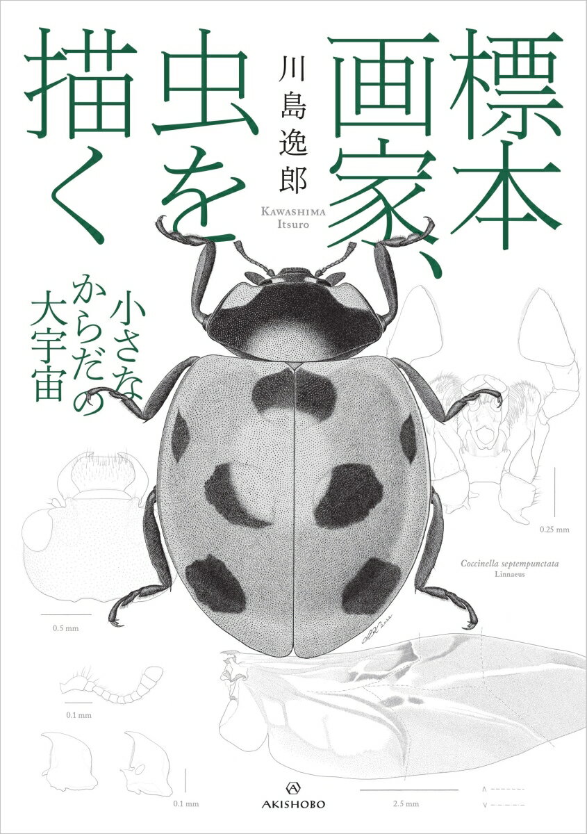 ◆◆◆非常にきれいな状態です。中古商品のため使用感等ある場合がございますが、品質には十分注意して発送いたします。 【毎日発送】 商品状態 著者名 川島逸郎 出版社名 亜紀書房 発売日 2024年08月08日 ISBN 9784750518459