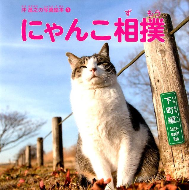 ◆◆◆おおむね良好な状態です。中古商品のため使用感等ある場合がございますが、品質には十分注意して発送いたします。 【毎日発送】 商品状態 著者名 沖昌之、あんどうなつ 出版社名 大空出版 発売日 2019年05月10日 ISBN 97849...