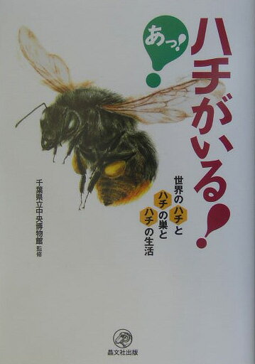 ◆◆◆非常にきれいな状態です。中古商品のため使用感等ある場合がございますが、品質には十分注意して発送いたします。 【毎日発送】 商品状態 著者名 千葉県立中央博物館 出版社名 晶文社出版 発売日 2004年07月 ISBN 97847949...