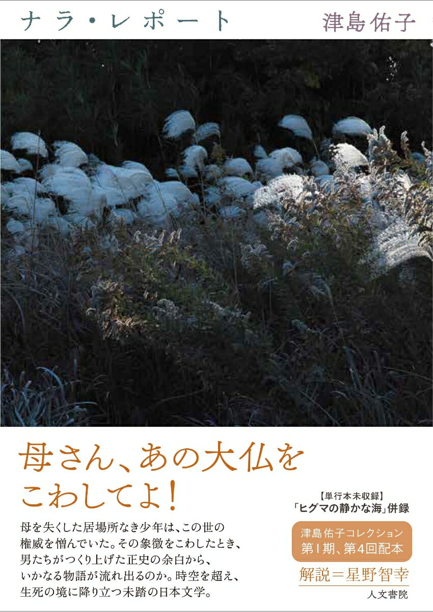 ◆◆◆カバーに汚れ、使用感があります。小口に汚れ、日焼けがあります。中古ですので多少の使用感がありますが、品質には十分に注意して販売しております。迅速・丁寧な発送を心がけております。【毎日発送】 商品状態 著者名 津島佑子 出版社名 人文書...
