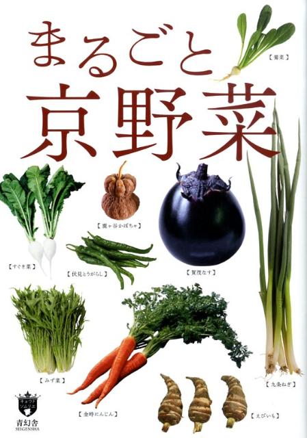◆◆◆全体的に傷み、汚れ、日焼けがあります。中古ですので多少の使用感がありますが、品質には十分に注意して販売しております。迅速・丁寧な発送を心がけております。【毎日発送】 商品状態 著者名 田中大三 出版社名 青幻舎 発売日 2009年06...