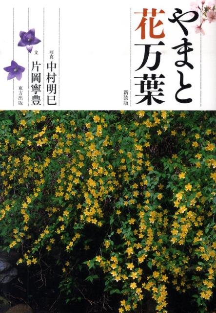 ◆◆◆非常にきれいな状態です。中古商品のため使用感等ある場合がございますが、品質には十分注意して発送いたします。 【毎日発送】 商品状態 著者名 中村明巳、片岡寧豊 出版社名 東方出版（大阪） 発売日 2010年04月 ISBN 97848...