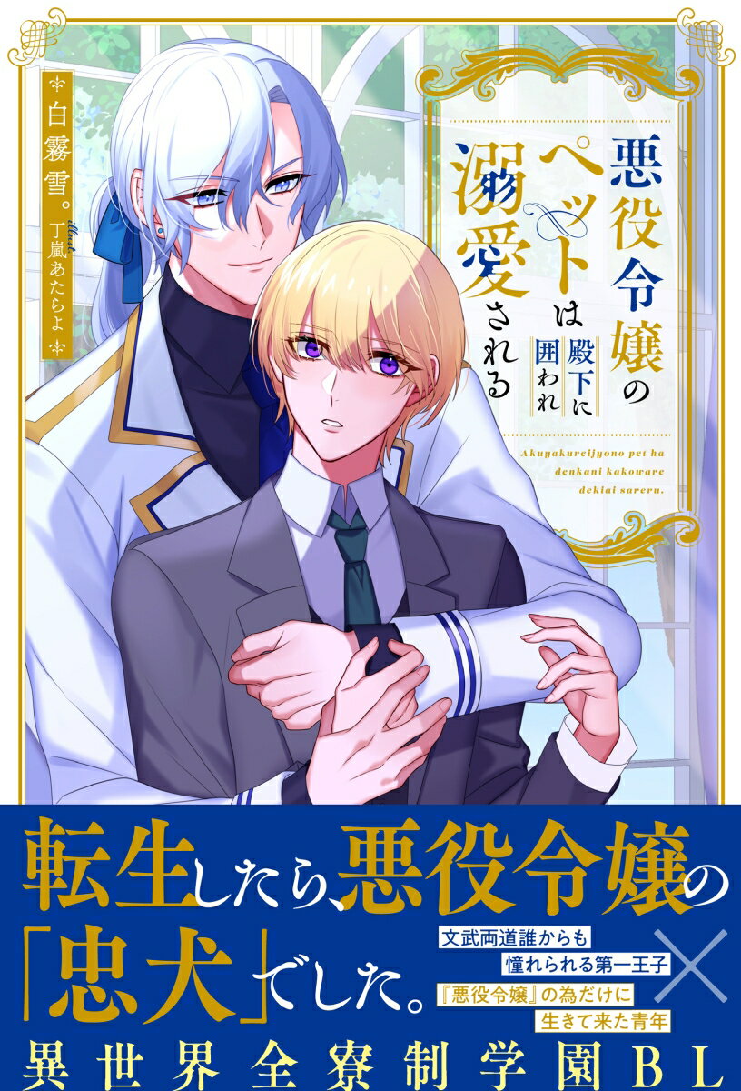 ◆◆◆非常にきれいな状態です。中古商品のため使用感等ある場合がございますが、品質には十分注意して発送いたします。 【毎日発送】 商品状態 著者名 白霧雪。 出版社名 アルファポリス 発売日 2023年01月20日 ISBN 97844343...